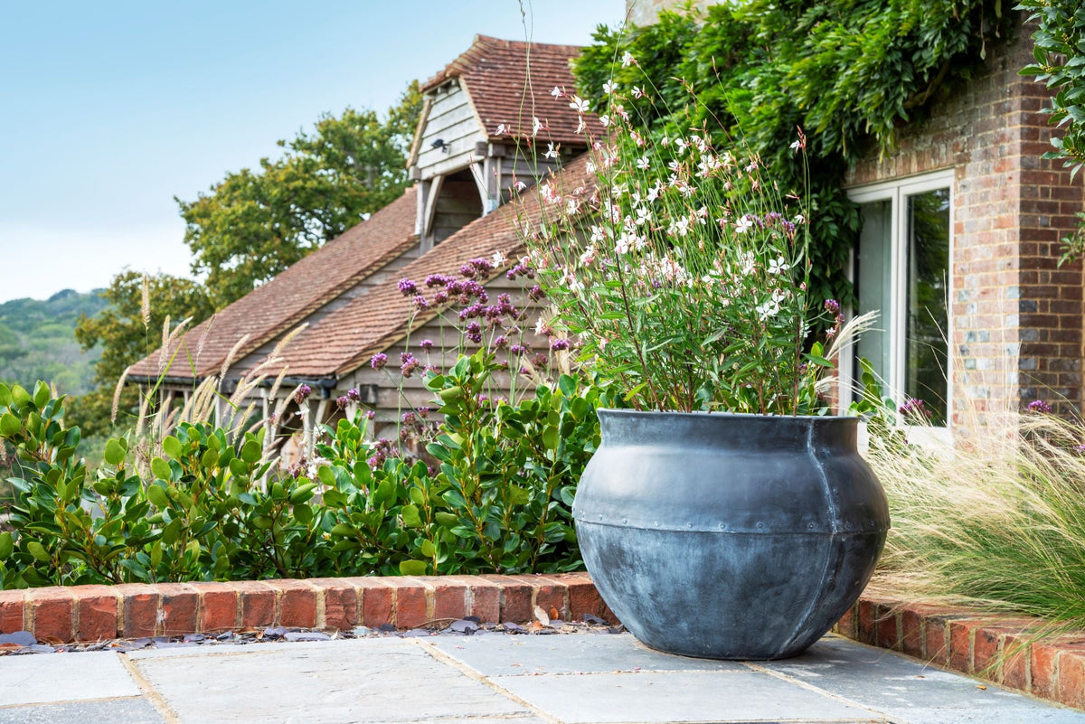 The Bell Jar Planter – A Distinctive Addition to Any Space – Verti Green