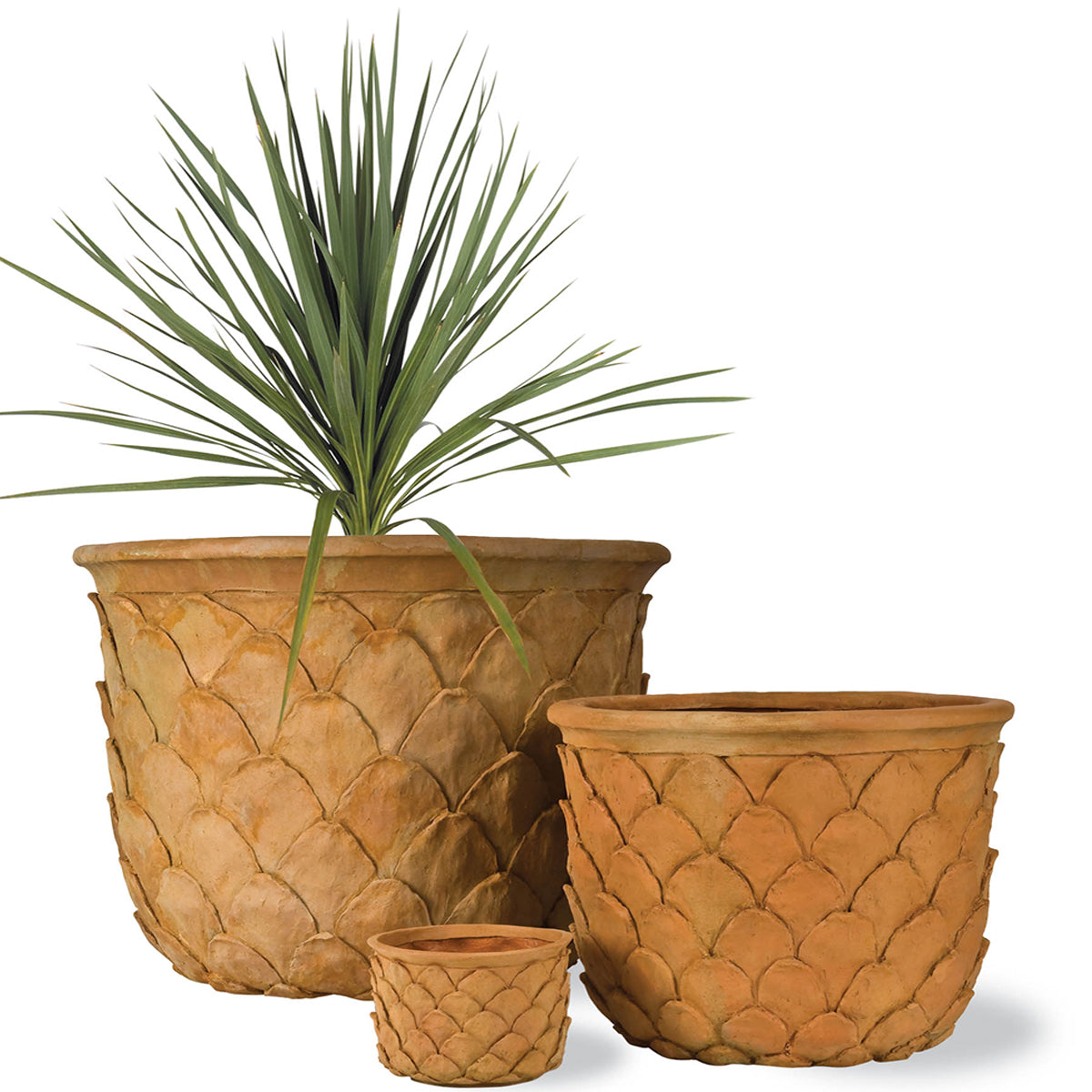 Pineapple Terracotta Pots – Verti Green