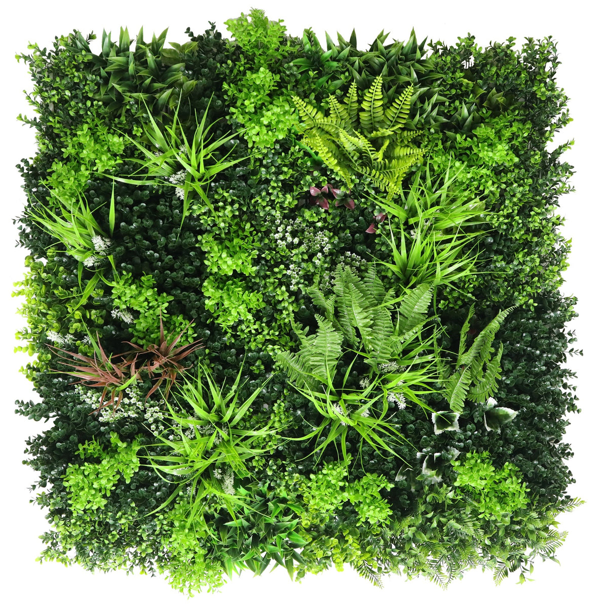 'Botanical' Artificial Green Wall Panel 1m x 1m Flexible – Verti Green